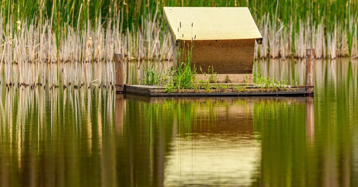 10 Best Rated Reed Diffusers for a Long-Lasting Home Fragrance