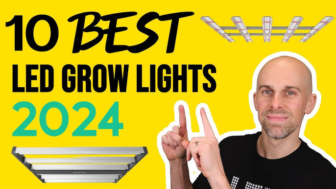 10 Best Led Light